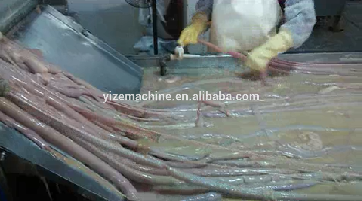 Buy Sheep Casing Cleaning Machine / Hog Casing Cleaning Machine ...