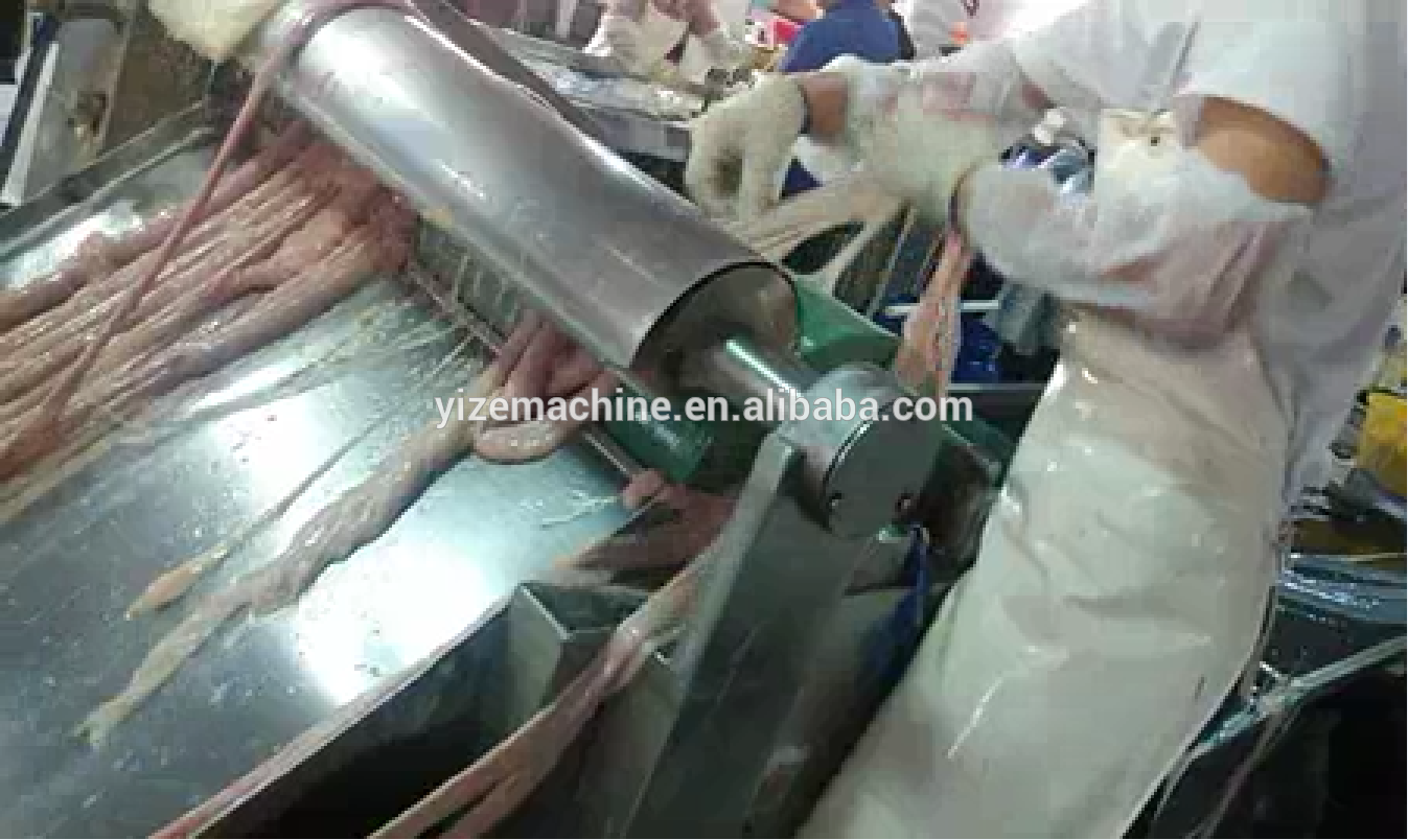 Buy Sheep Casing Cleaning Machine / Hog Casing Cleaning Machine ...