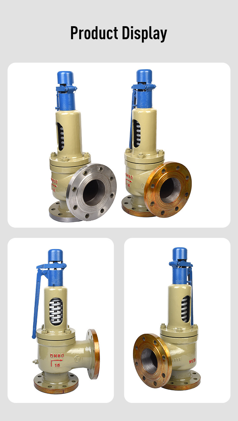 Buy Spring Loaded Full Lift Safety Valve Lpg Emergency Relief Cast ...