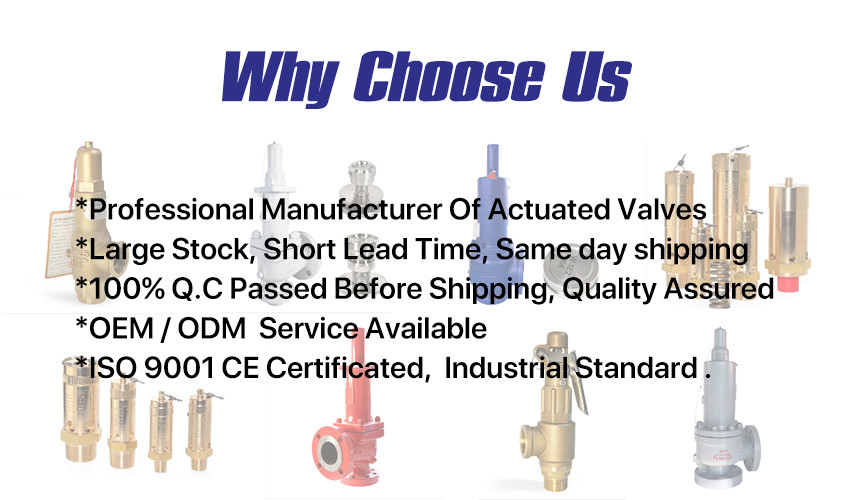 Buy Stainless Steel Spring Loaded Full Bore Type Safety Relief Valve ...