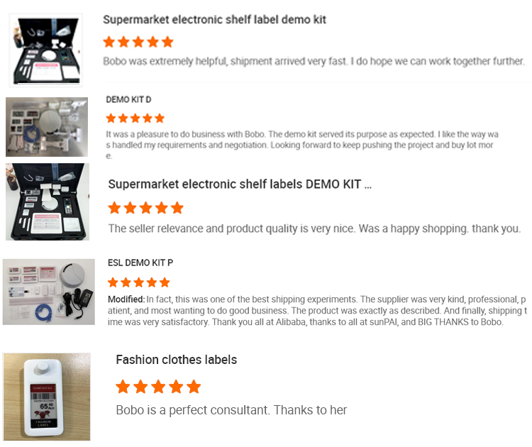 Buy Sunpaitag E Ink Display Shelf Price Label Price Tag Display ...