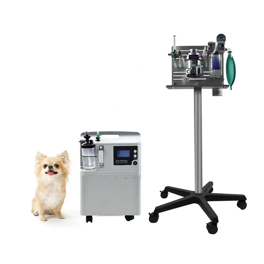 Buy Veterinary Oxygen Concentrator Vet Oxygen Therapy Machine from ...