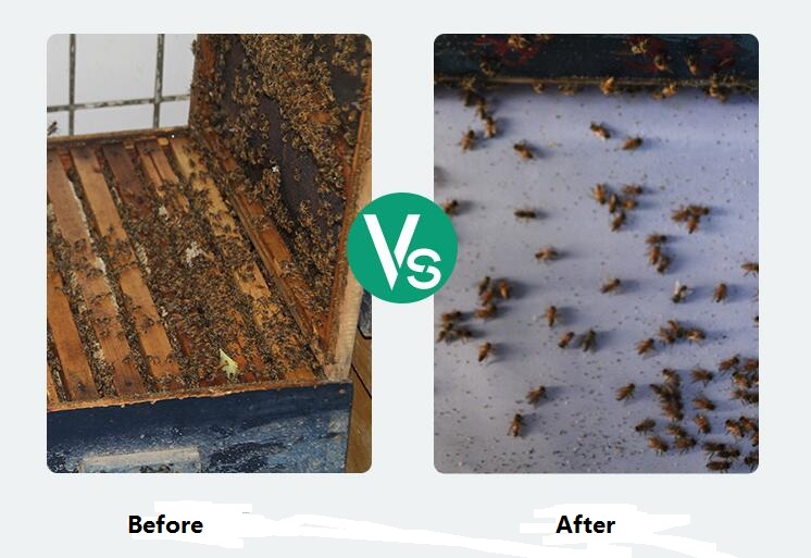 Buy Wangshi Manhao-pro Bee Strip For Varroa Mite Control from Sichuan ...