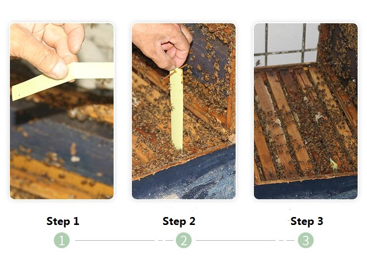 Buy Wangshi Manhao-pro Bee Strip For Varroa Mite Control from Sichuan ...