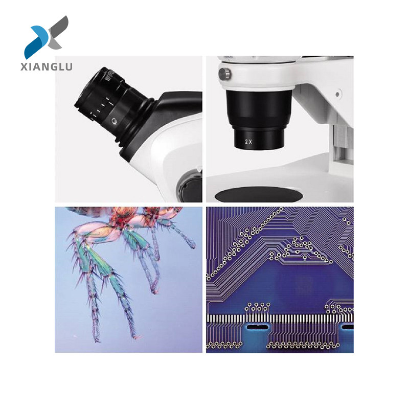 Buy Xianglu Biological Microscope Microscope Digital Microscope For ...