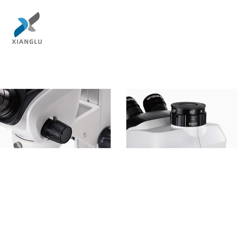 Buy Xianglu Biological Microscope Microscope Digital Microscope For ...