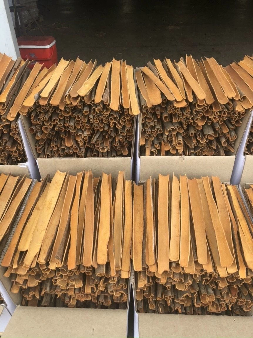 Buy Split Cinnamon from Anh Hong Co., Ltd, Vietnam | Tradewheel.com
