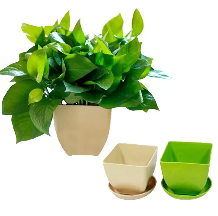 Buy Pla Flower Pots from Shenzhen Baiou Plastic Technology Co., Ltd ...