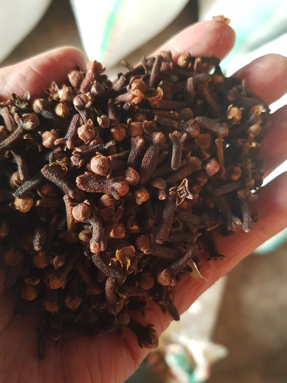Buy Dried Cloves Premium Quality Whole Cloves For Sale – Bulk ...