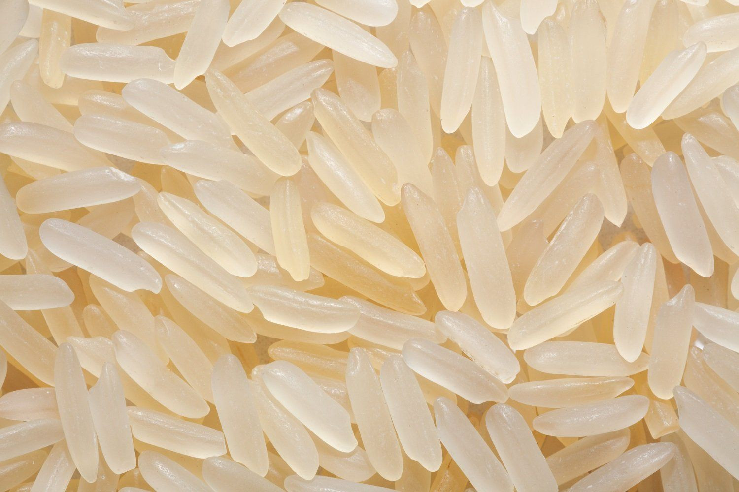 Buy Parboiled Rice from Manzoor Rice Processors LLC, Pakistan ...