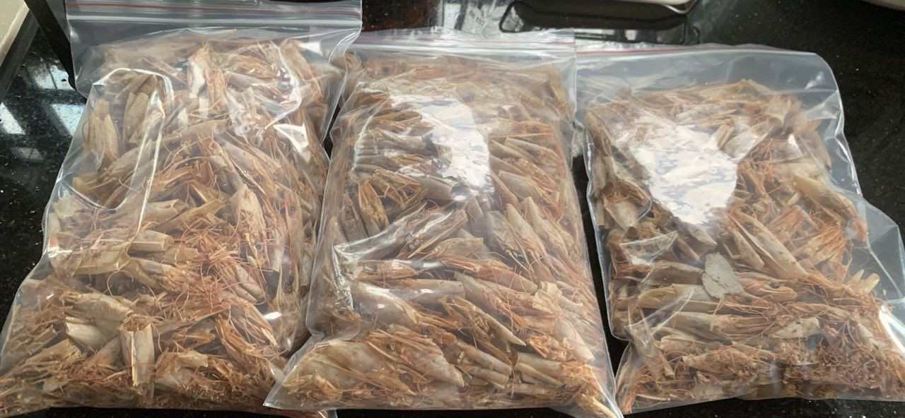 Buy Shrimp Shell Meal from KTIMEX CO.,LTD, Vietnam | Tradewheel.com