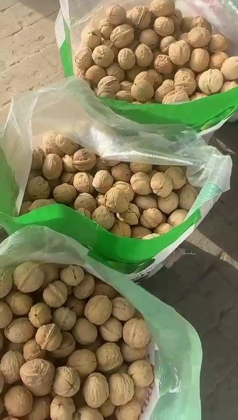 Buy Raw Walnut from Classic Enterprises, Pakistan | Tradewheel.com