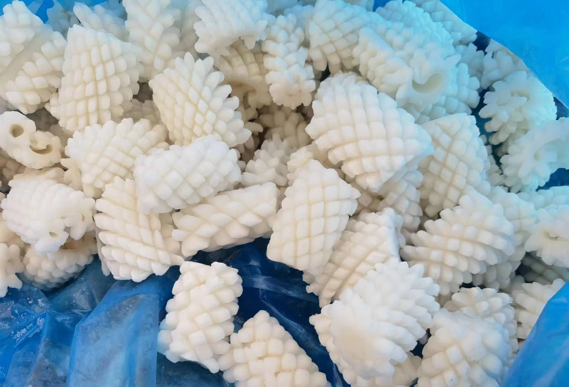 Buy Frozen Squid Flower Cut/ Frozen Squid Pineapple Cut/calamari/pota ...