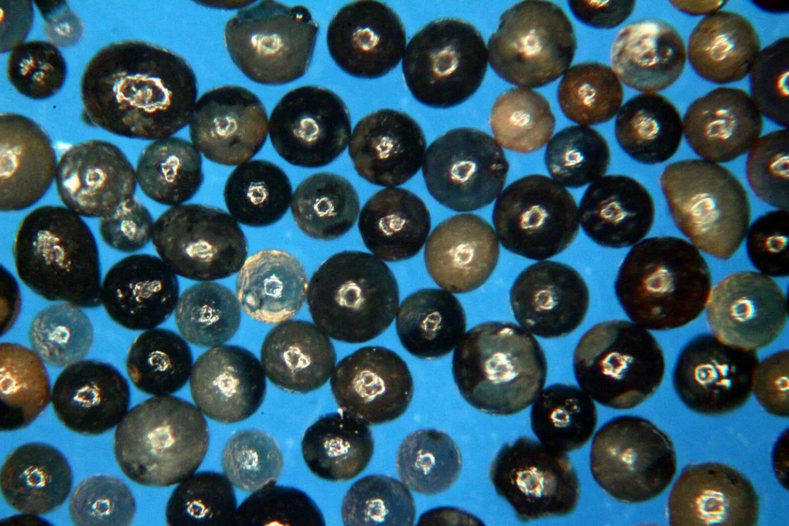 Buy Fused Ceramic Sand from lianxin foundry sand group, China ...