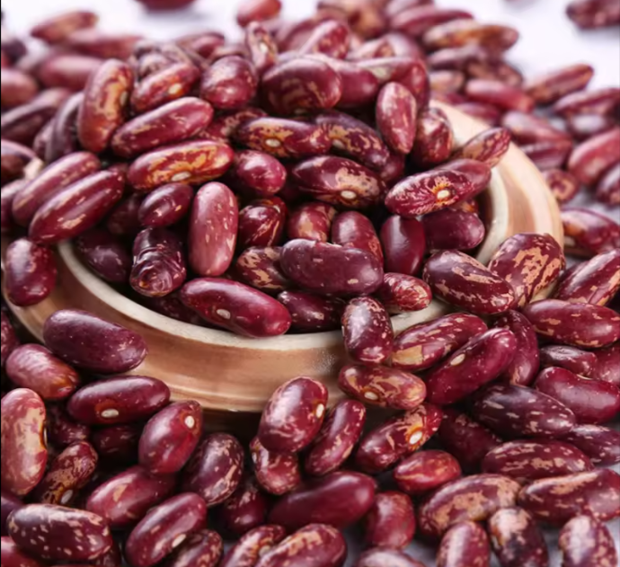 Buy Pure Red Kidney Beans (different Colors). from Jaiswal Tradings ...