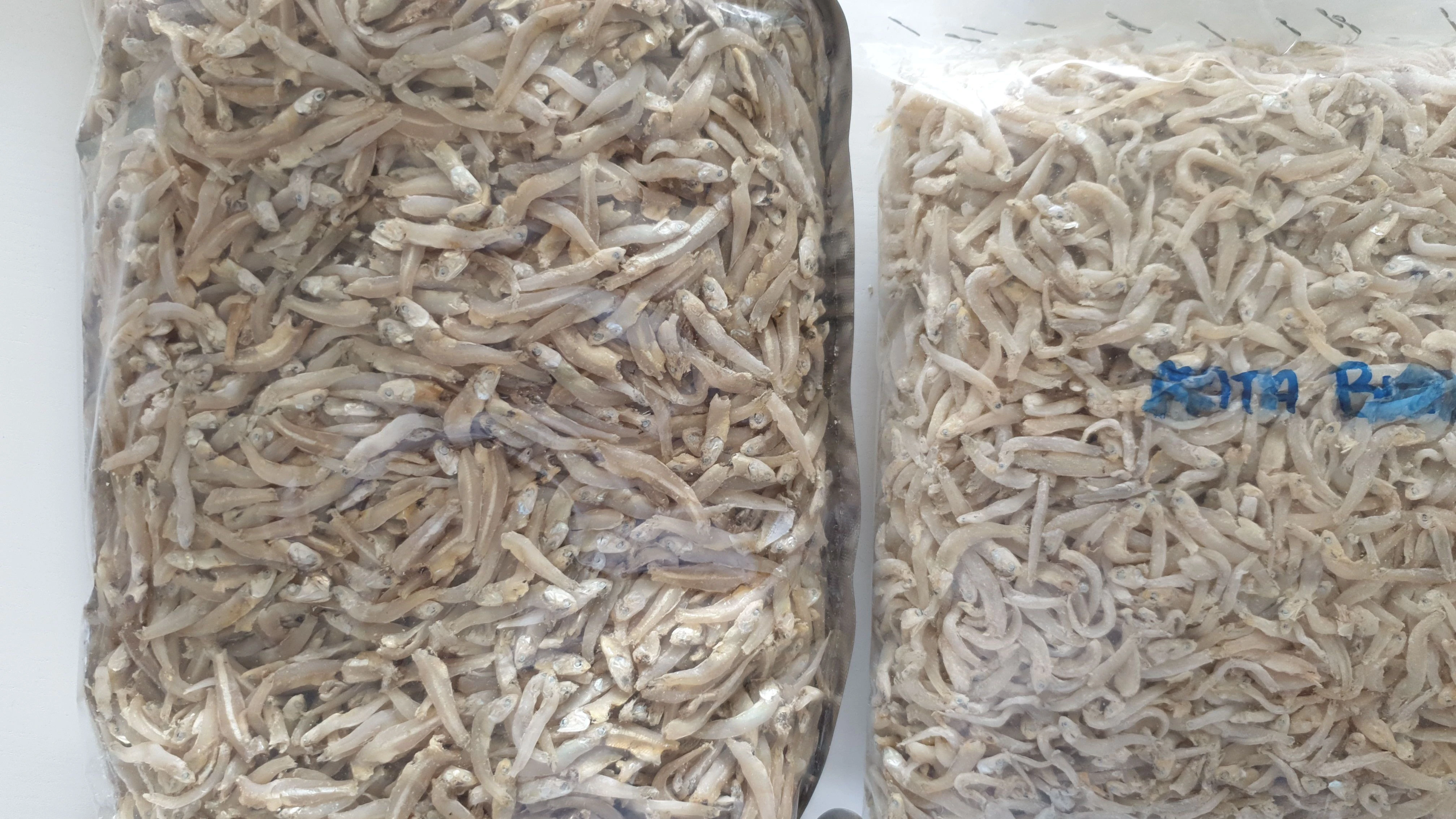 Buy Anchovy from Dans Borneo Seafood Trading, Malaysia | Tradewheel.com