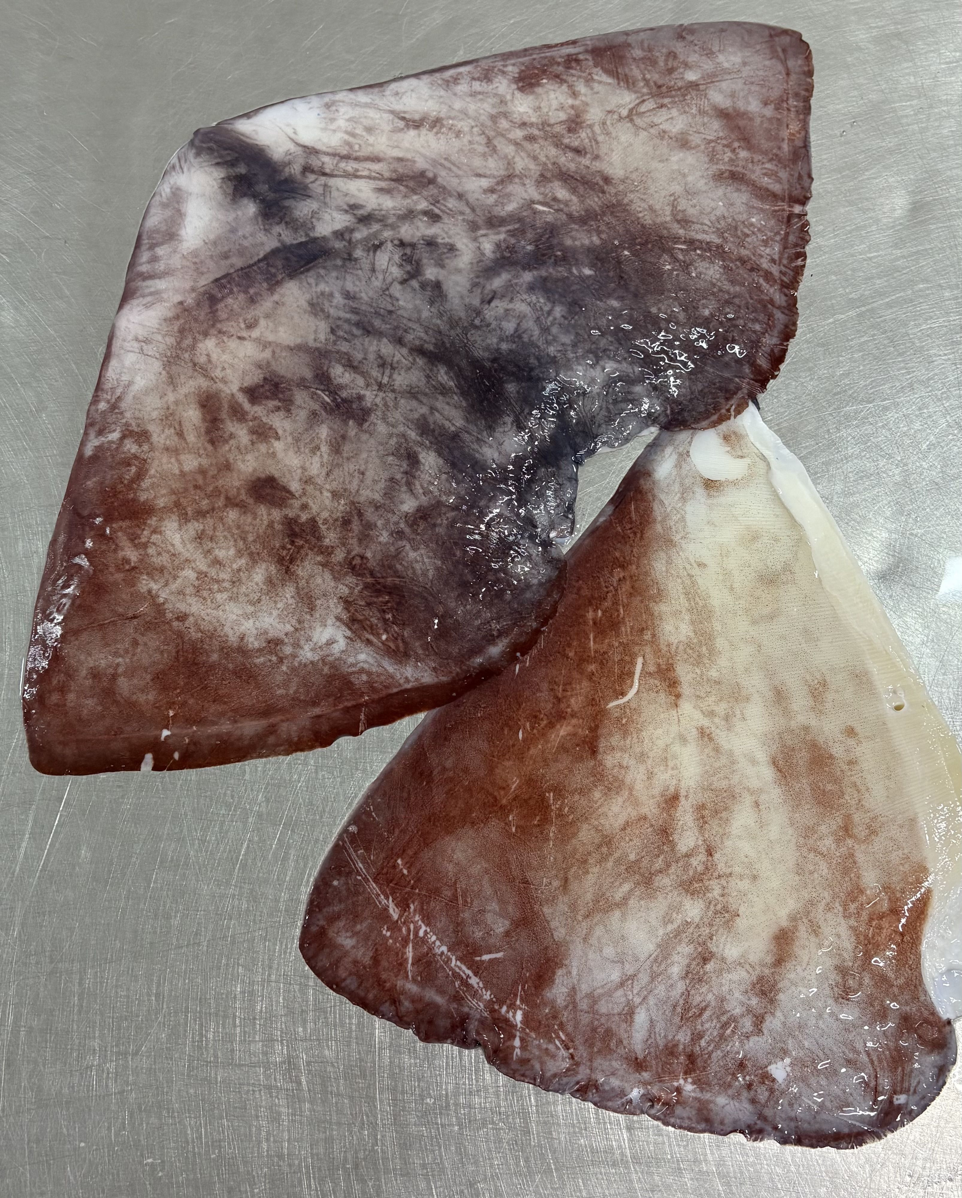 Buy Premium Peruvian Giant Squid Wings from Pesquera Supercetus S.A.C ...