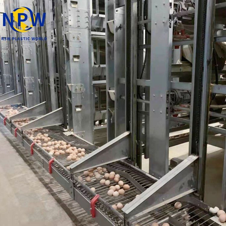 Buy Galvanized Egg Layer Cage With Auto Feeding & Nesting System from ...