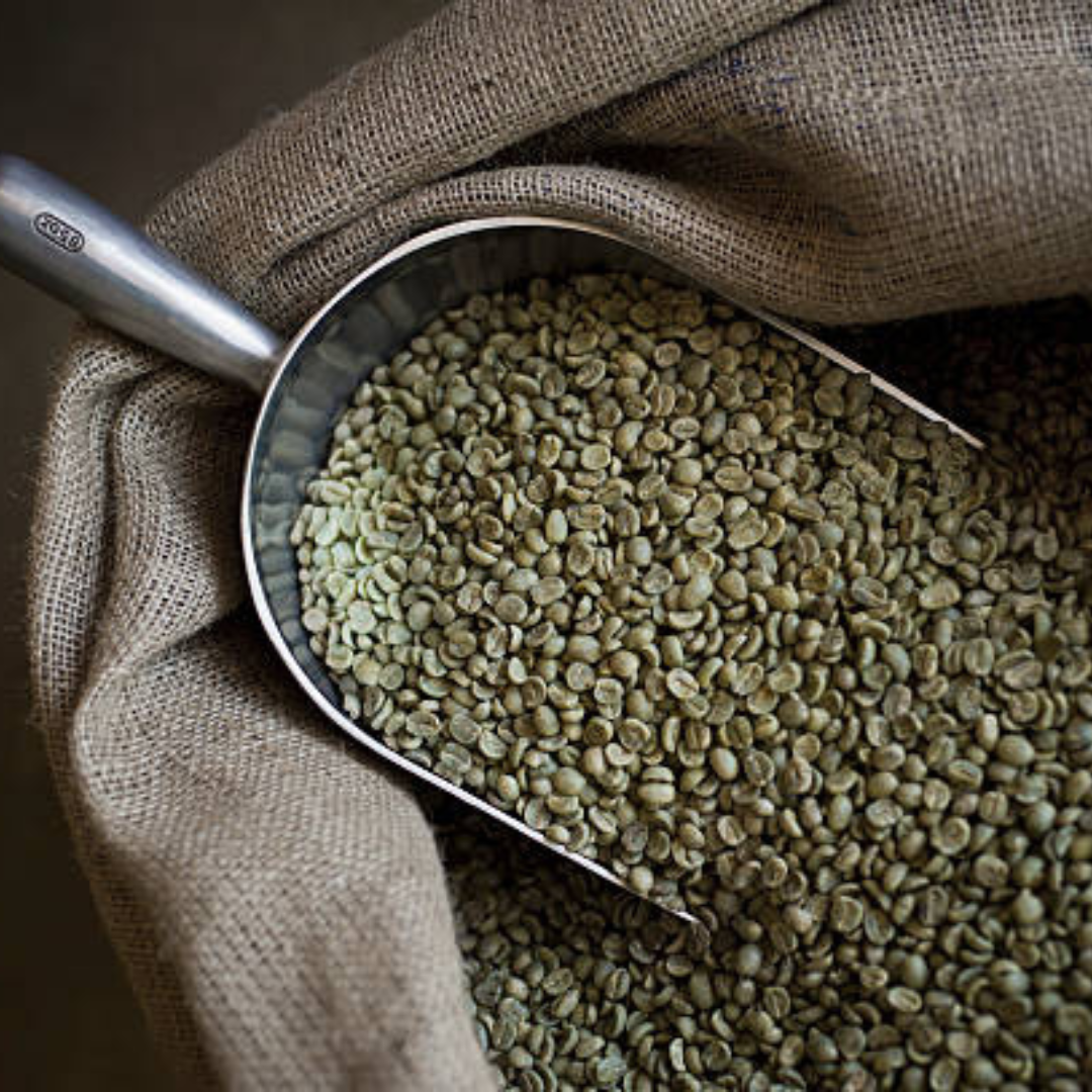 Buy Ethiopian Arabica Coffee Green Beans from Ayira Coffee, Ethiopia ...