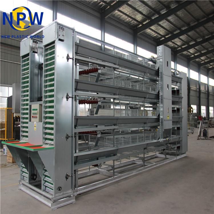 Buy Galvanized Egg Layer Cage With Auto Feeding & Nesting System from ...