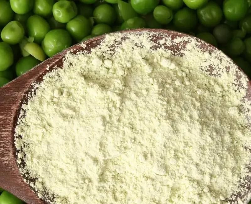 Buy High-quality Pea Protein Powder – Plant-based & Vegan-friendly from ...