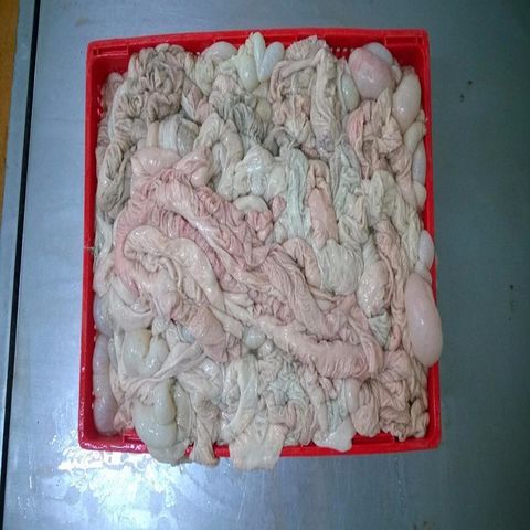 Buy Quality Frozen Beef Intestine For Export from Bright Future ...