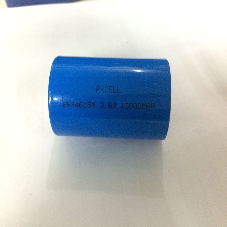 Buy China Meter Battery Primary Li-socl2 Battery D Size 3.6v 19000mah ...