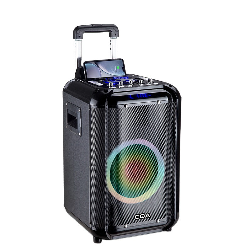 Buy Cqa Factory 10inch Trolley Speakers Audio System Sound Professional ...