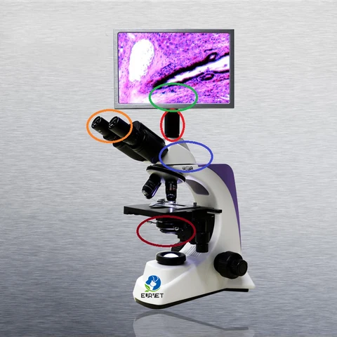 Buy Eur Vet Latest Technology Biological Microscope Veterinary ...
