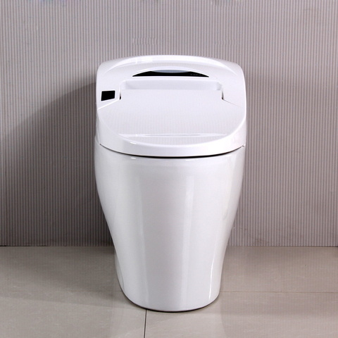 Buy European Style Intelligent Toilet One Piece Bidet Smart Toilet For ...