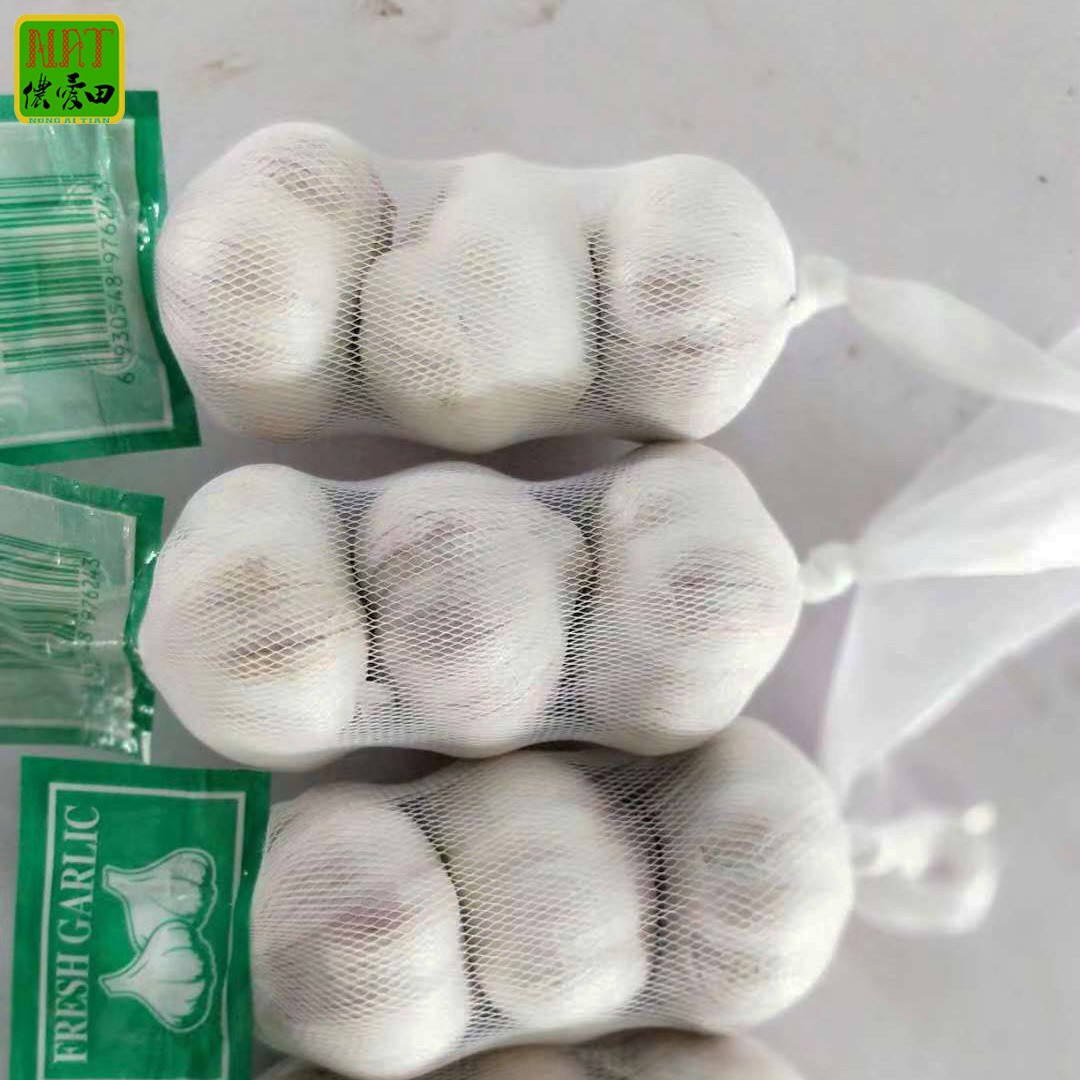 Buy Garlic Chinese Fresh Normal White Garlic Small Package 3p 5p Mesh ...