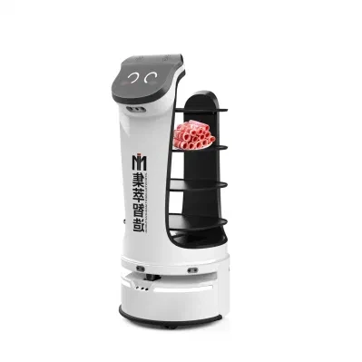 Buy Hot Sale Robot Waiter Automatic Food Delivery Robot Serving Waiter ...