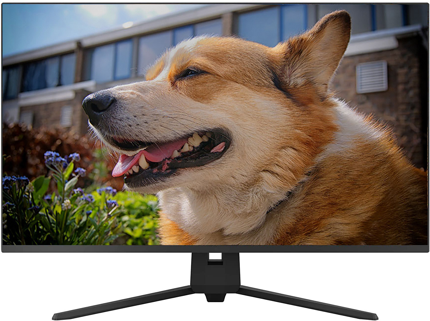 Buy Lcd Display 24 Inch Monitor For Gaming Led Screen High Definition ...