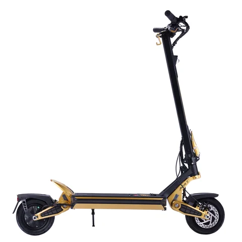 Buy Mukuta 9 Plus Stand Up Electric Road Scooter Motor Price With Seat ...