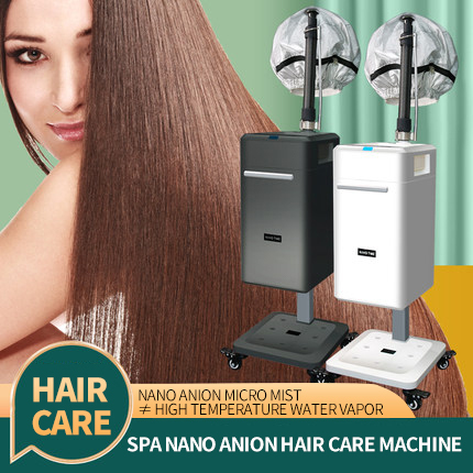 Buy Professional Moisturizer Ozone Hair Steamer Micro Mist Machine ...