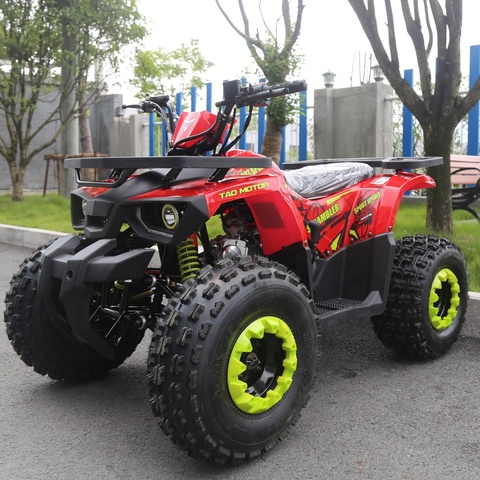 Buy Tao Motor Ata125-k1 Atv 125 Quad Atv 125cc Quad from Zhejiang ...