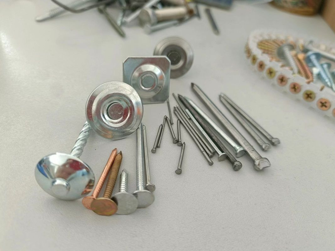 Buy Metal Cap Steel Nails from Tianjin Zhonglian Metals Ware Co.,Ltd ...
