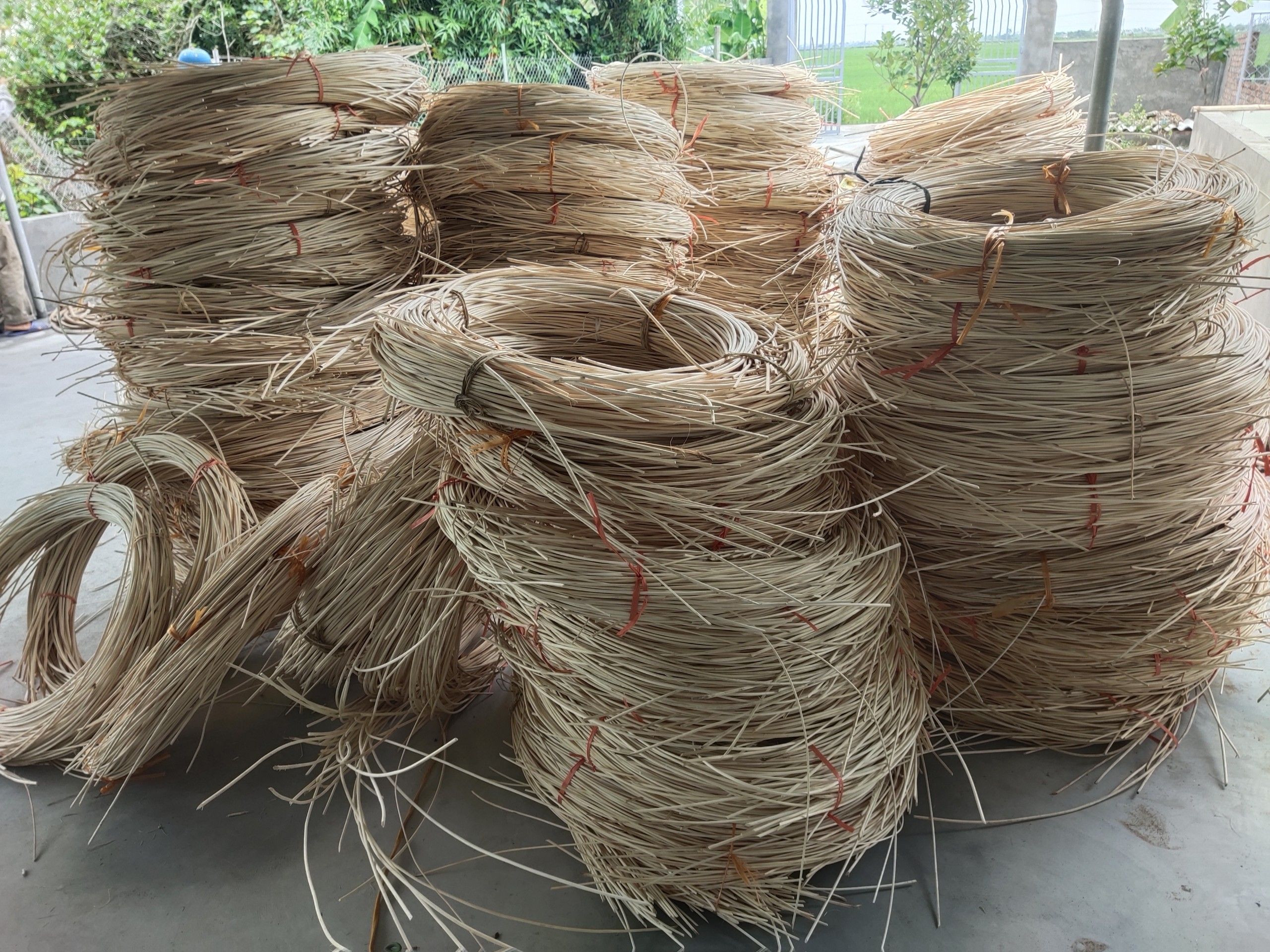 Buy Rattan Core From Vietnam from Company - Roxie Dang, Vietnam ...