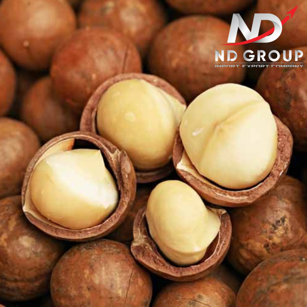 Buy Macadamia Nuts In Shell from ND Group Import Export Company Limited ...