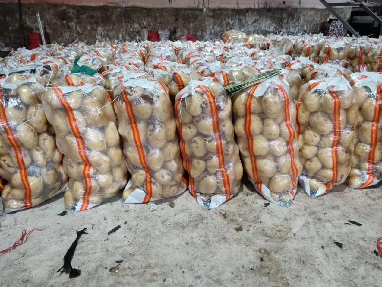 Buy New Harvest Fresh Potato from Shanxi Ruobin Network Technology Co ...