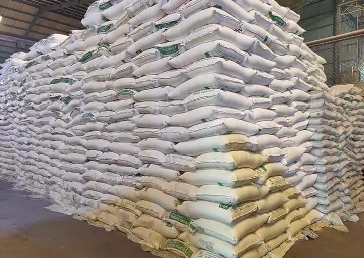 Buy Mocaf Modified Cassava Flour from PT. Kertagemilang Surya Sukowati ...