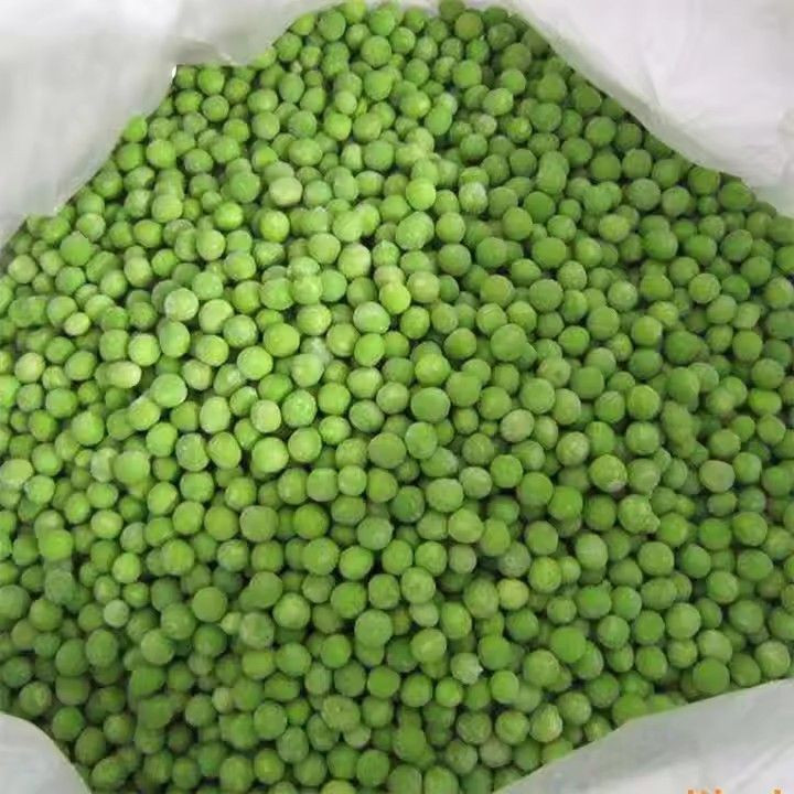 Buy Refined Green Beans from Markco Polo Enterprise Pty Ltd, South ...