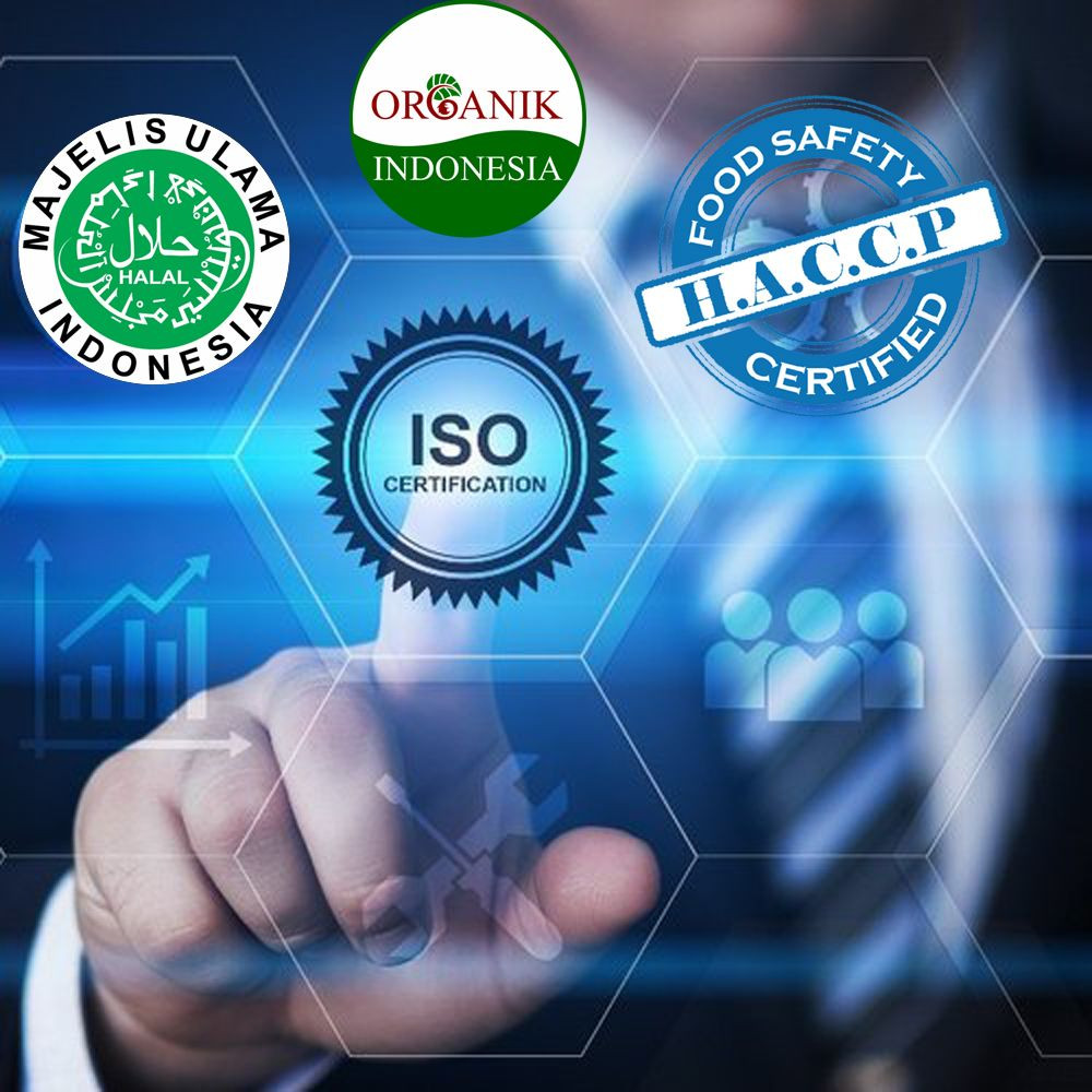 Buy Mocaf Modified Cassava Flour from PT. Kertagemilang Surya Sukowati ...