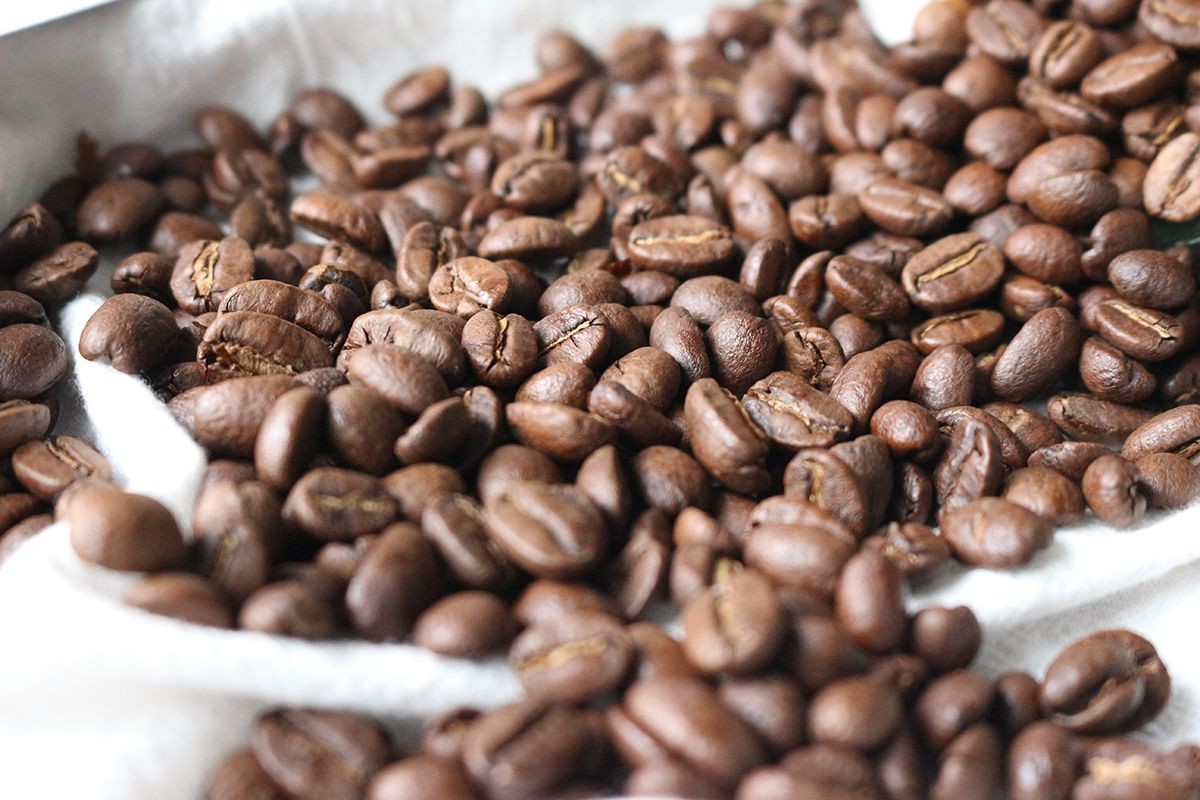 Buy Roast Arabica Roasted Coffee Beans For Sale In Bulk Quantity from ...