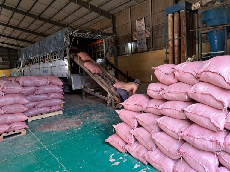 Buy Dark Brown Copra Meal( Coconut Meal) from KTIMEX CO., LTD, Vietnam ...