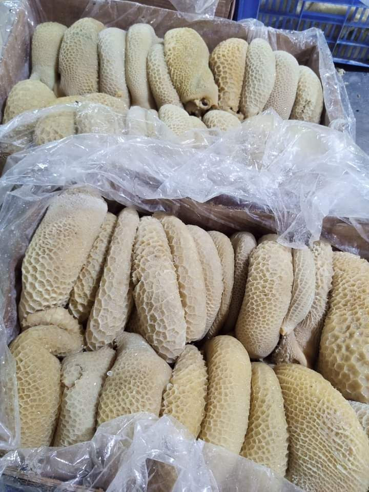 Buy Frozen Cooked Beef Tripe from ACRO IFC & Co.,, Pakistan ...