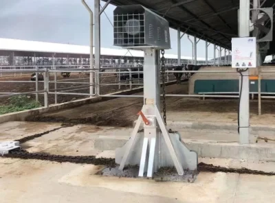 Buy Automatic Manure Removal System Cow Manure Scraper from Hebei ...