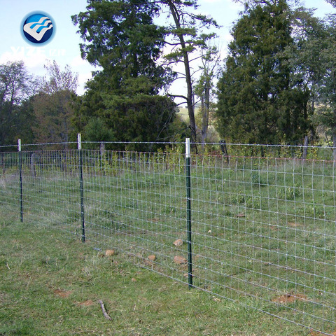 Buy Galvanized Chicken Wire Mesh Fence/cattle Fence Wire Export To ...