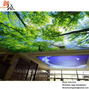 Buy Guangzhou Decorative Materials Fall Ceiling Design Picture Blue Sky ...