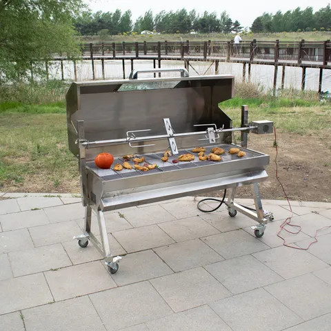 Buy Outdoor Dual Fuel Hooded Gas Grill Propano And Charcoal Lamb Pig ...